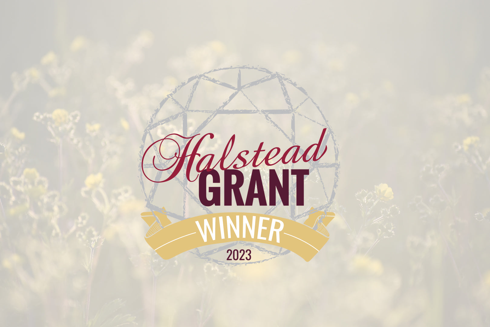 My Halstead Grant Experience - S. Howell Studios